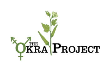Spotlight: The Okra Project – Hamama