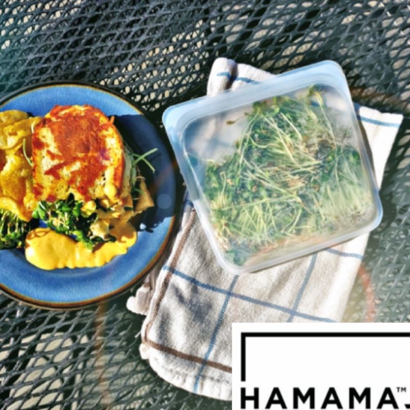 World Sandwich Day Roundup – Hamama