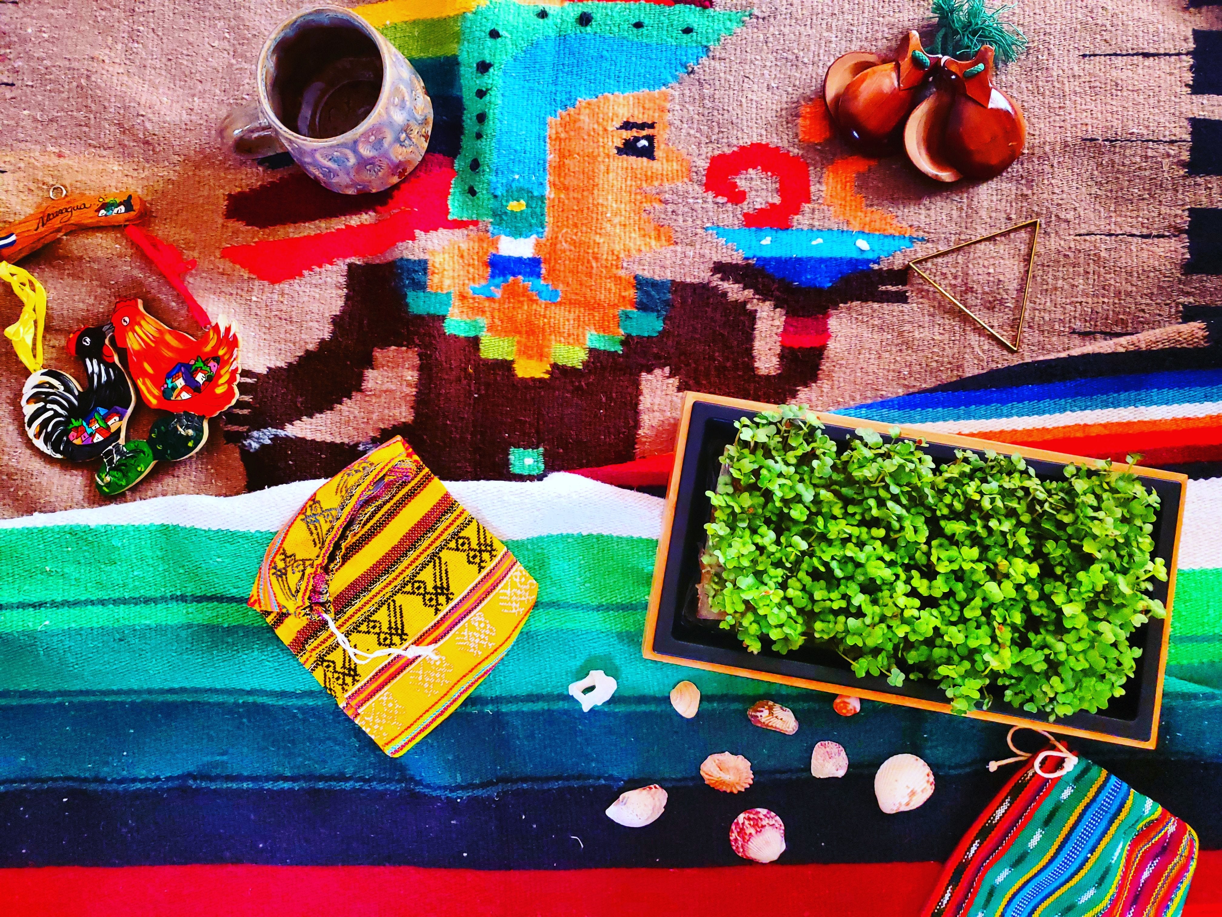 Employee Spotlights- Hispanic Heritage Appreciation – Hamama