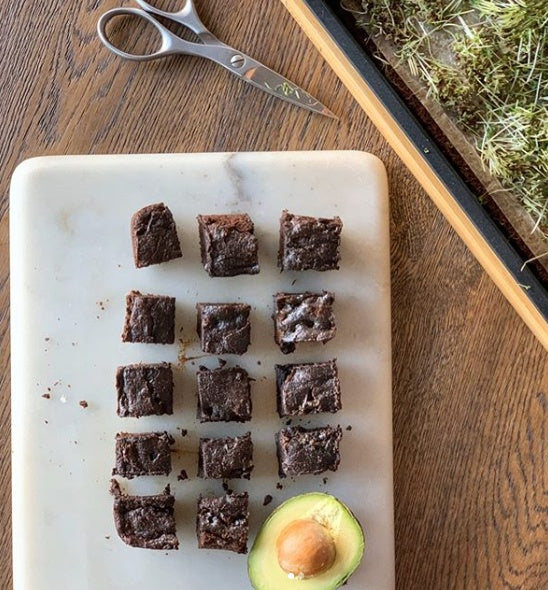 Microgreen Brownies – Hamama