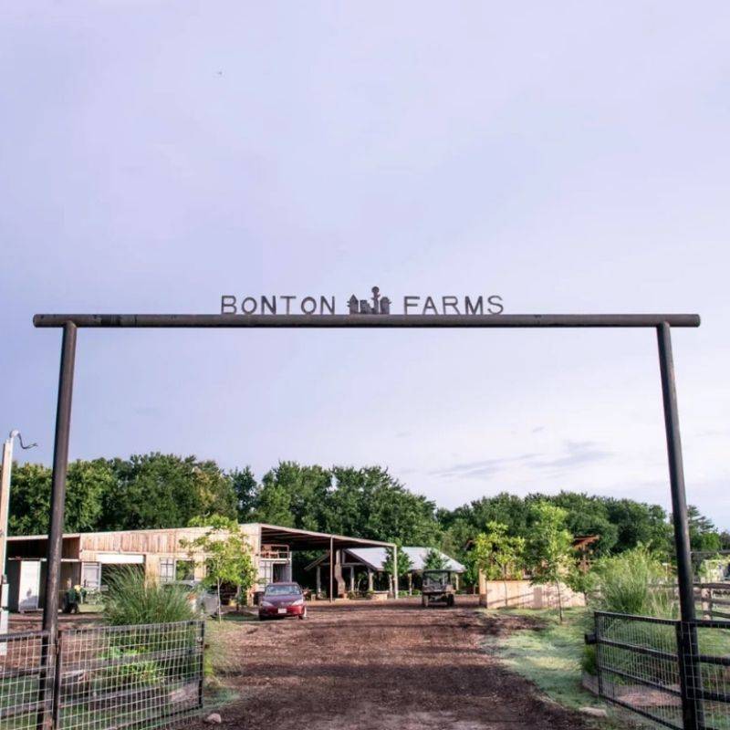 Spotlight: Bonton Farm – Hamama