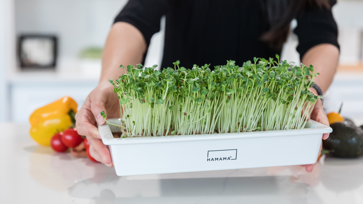 Subscribe & Save – Hamama