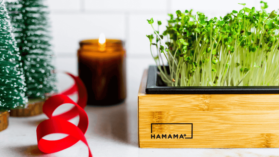 Grow nutritious greens year-round. – Hamama