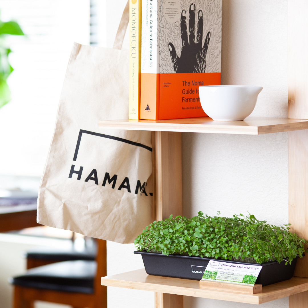 HAMAMA | How To Grow Microgreens Indoors With Your Microgreens Kit – Hamama