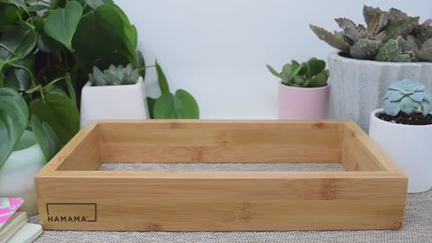 Ultimate Bamboo Starter Kit – Hamama