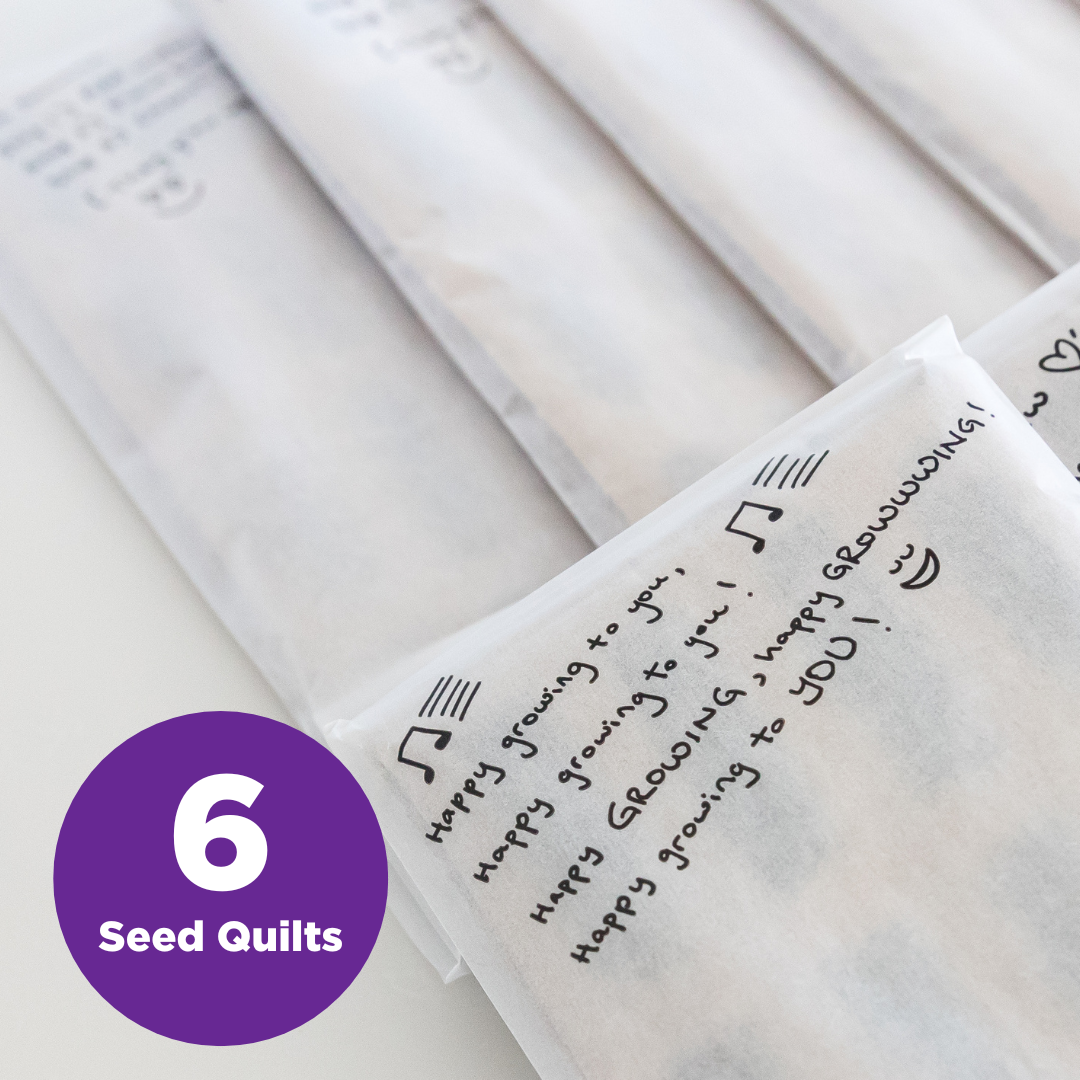 Ultimate Bamboo Starter Kit – Hamama