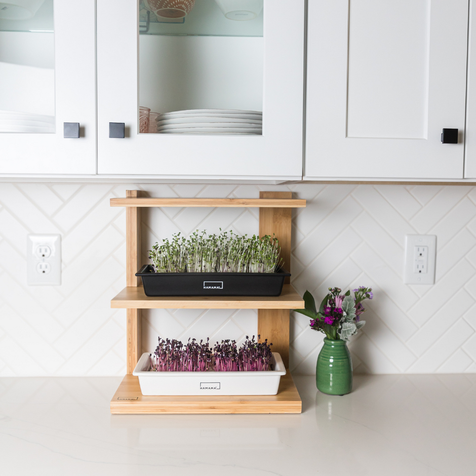 Meet Our Microgreens – Hamama