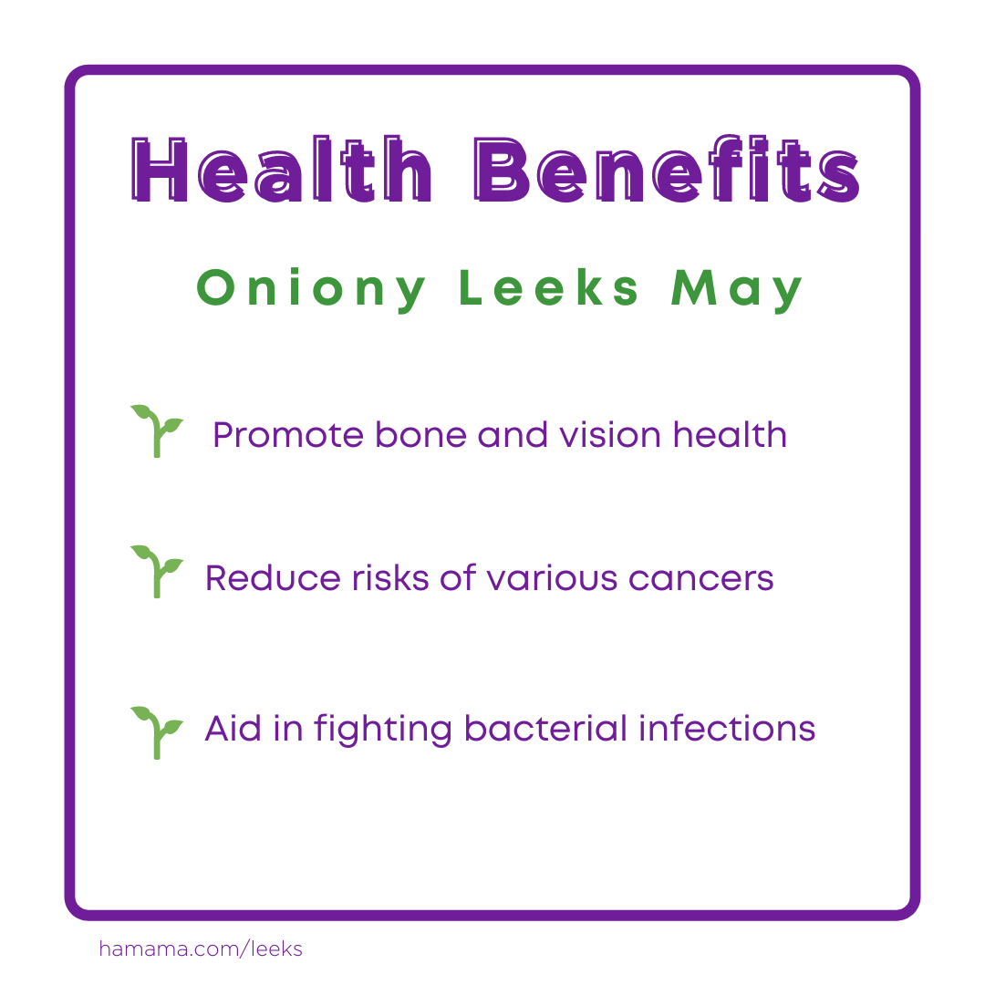 Oniony Leeks 3-Pack Seed Quilt Refill – Hamama