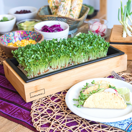 Ultimate Bamboo Starter Kit – Hamama