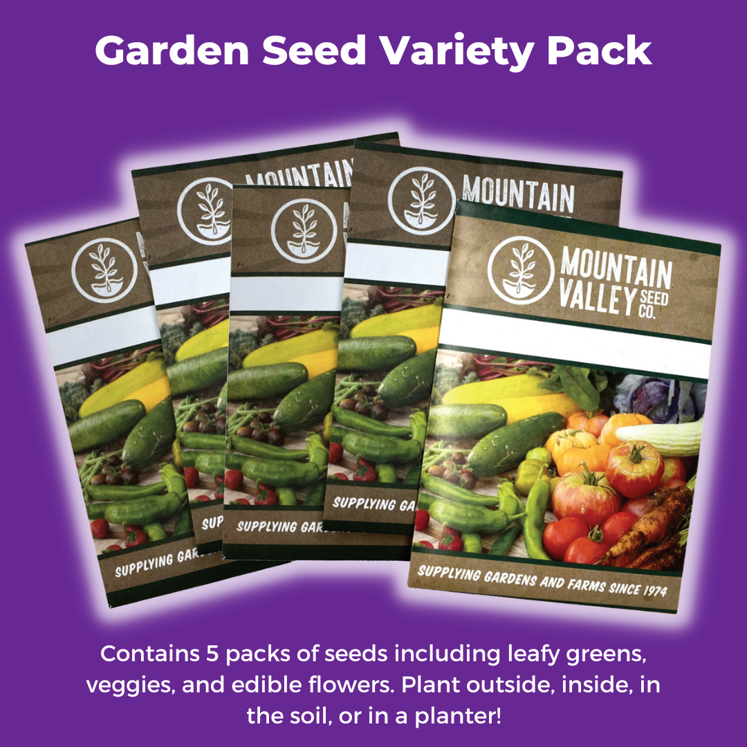 Garden Seed Variety Pack – Hamama